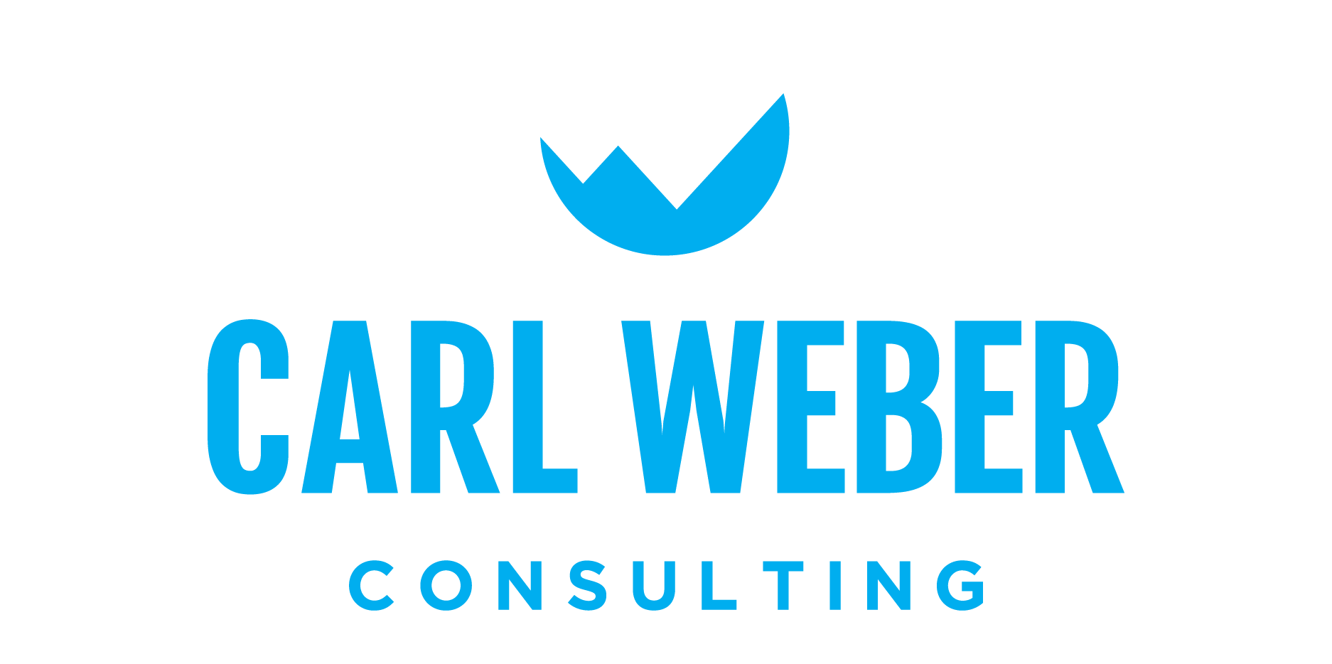 Carl Weber Consulting – Helping individuals, businesses, and ...